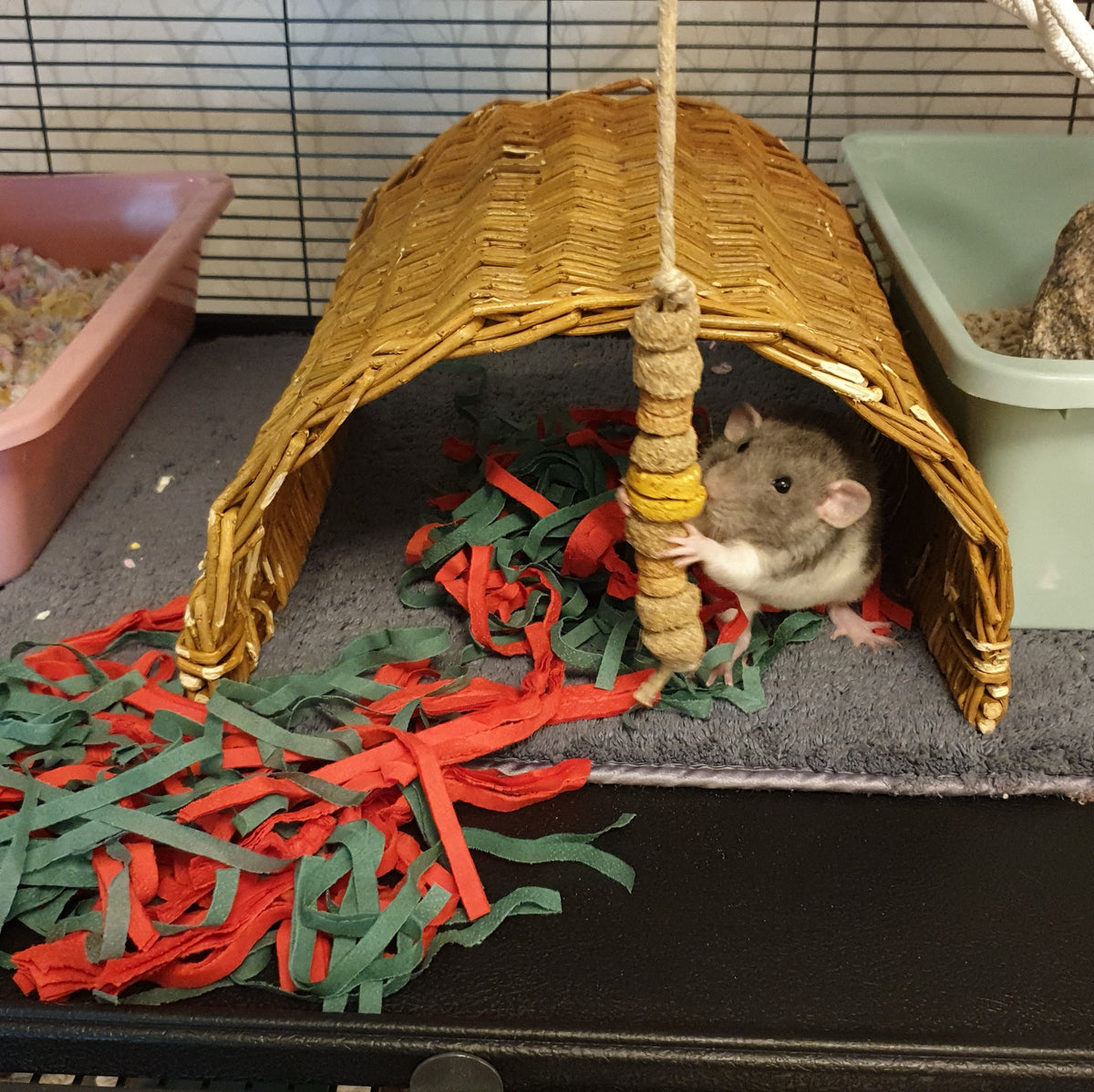 Things on a String – Everkin Critters